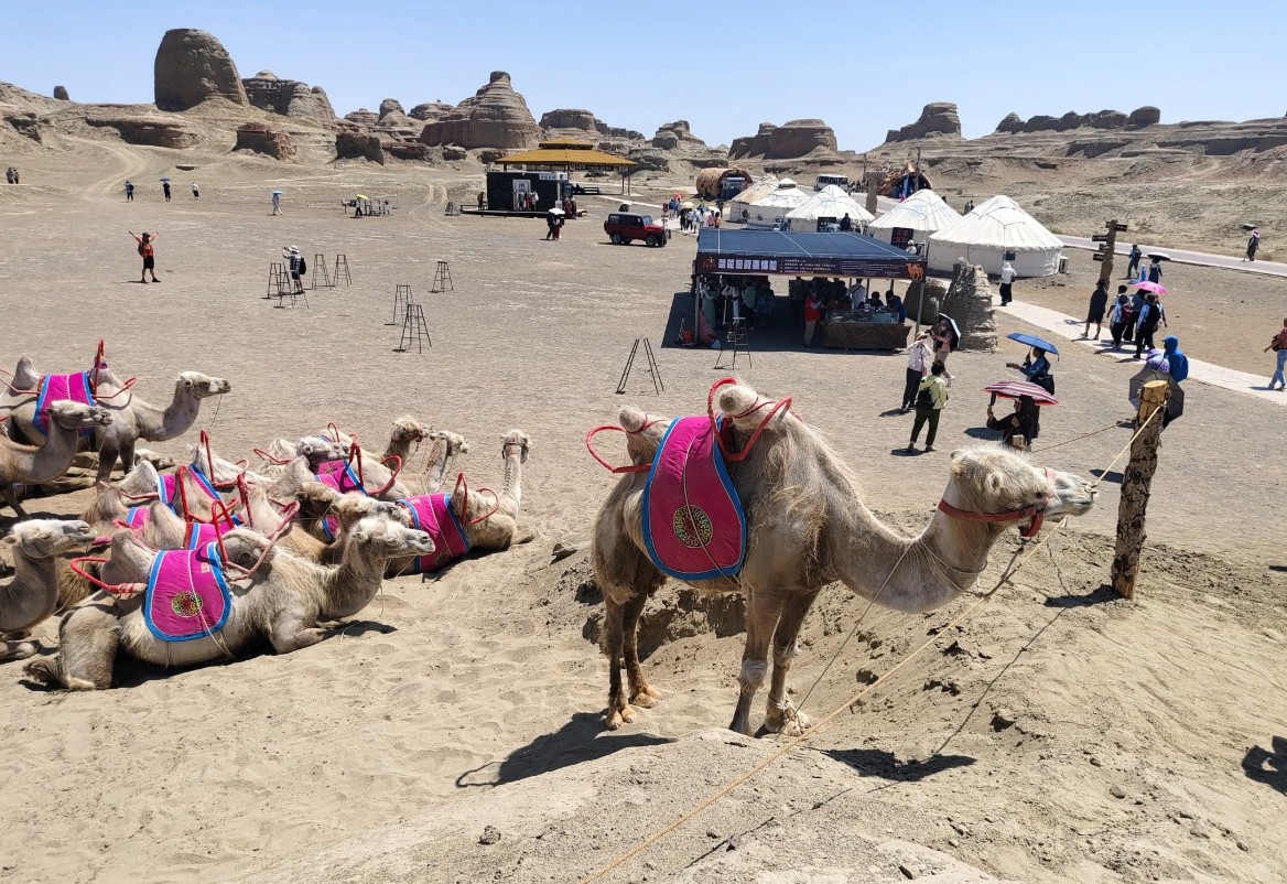 12D 11N Grand Tour Of Beautiful Northern Xinjiang