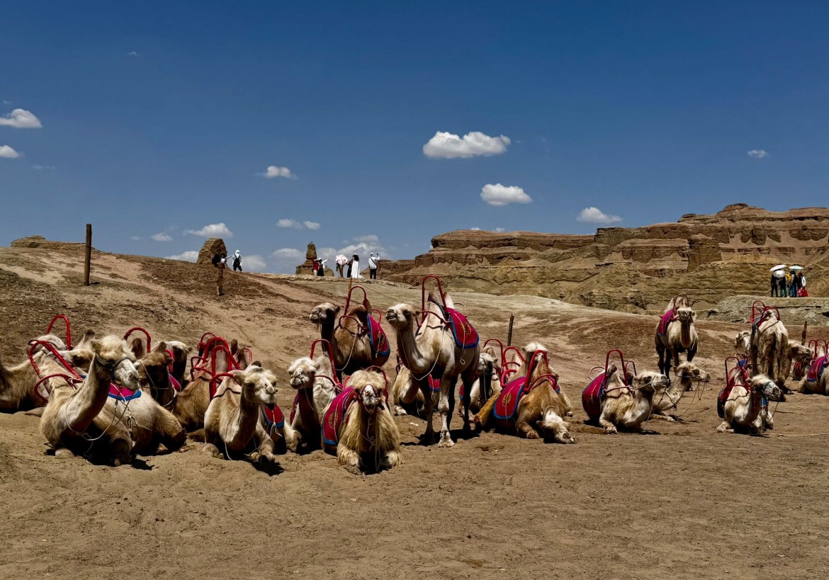 12D 11N Grand Tour Of Beautiful Northern Xinjiang