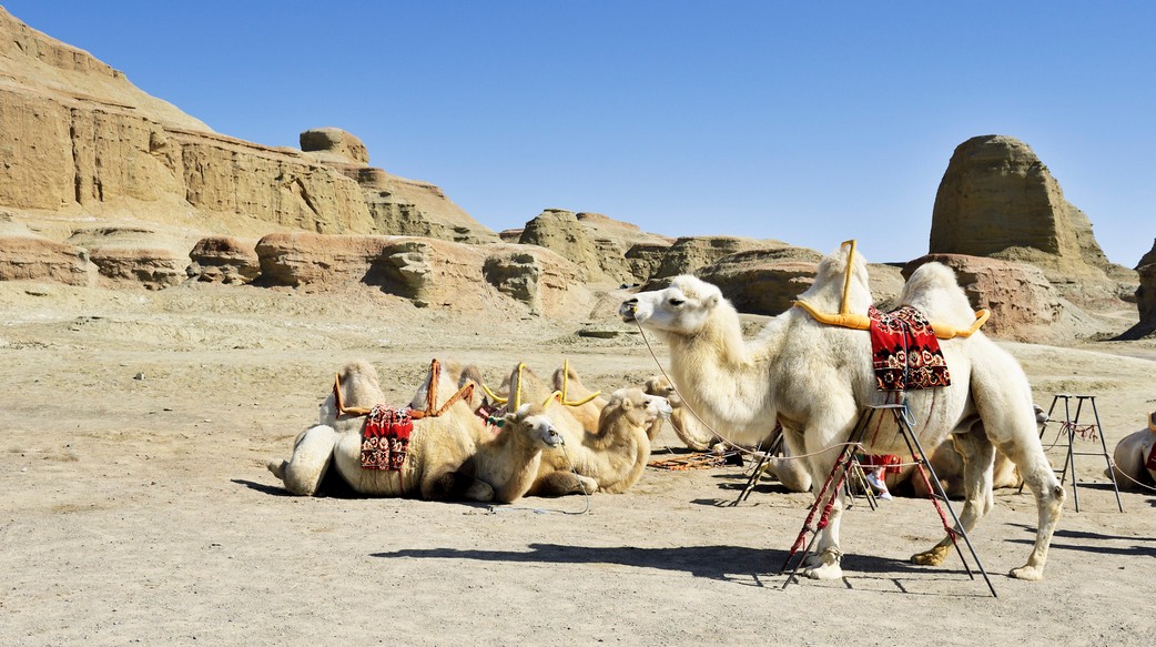 12D 11N Grand Tour Of Beautiful Northern Xinjiang